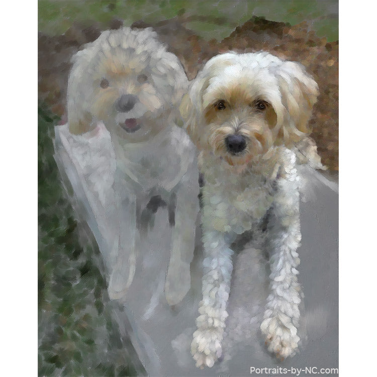 Evolution of a Golden Doodle – Portraits and Miniatures by NC