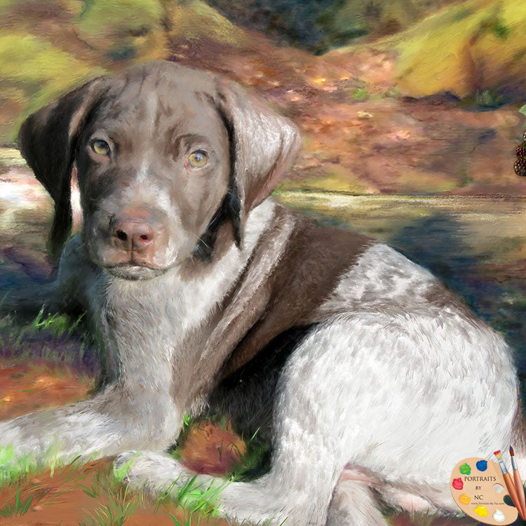 German Shorthaired Pointer – Portraits and Miniatures by NC