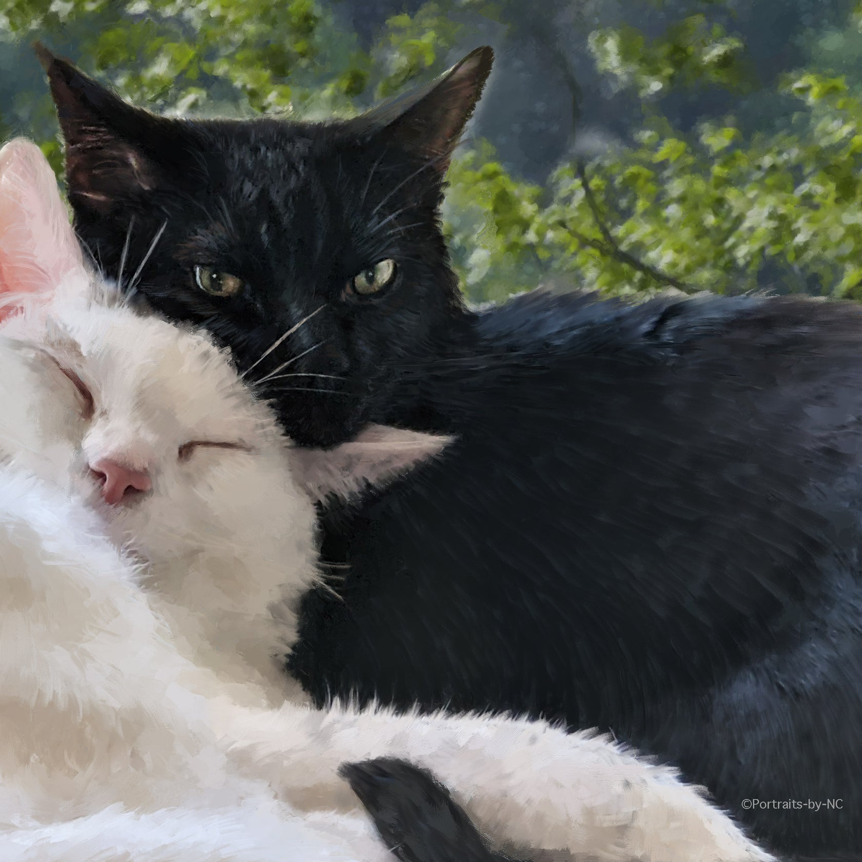 Two Cats Hugging Digital Portrait – Portraits and Miniatures by NC