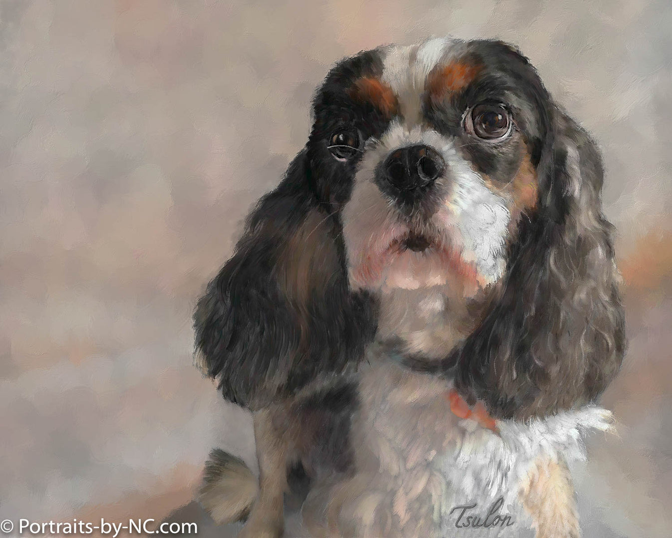 Cavalier King Charles Portrait – Portraits and Miniatures by NC