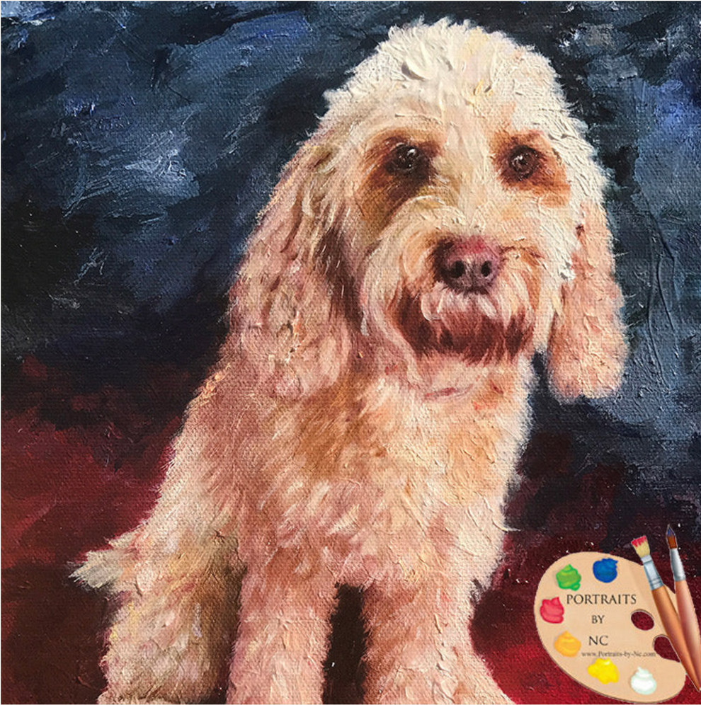 Custom Painted Labradoodle Portrait in Oil – Portraits and Miniatures by NC