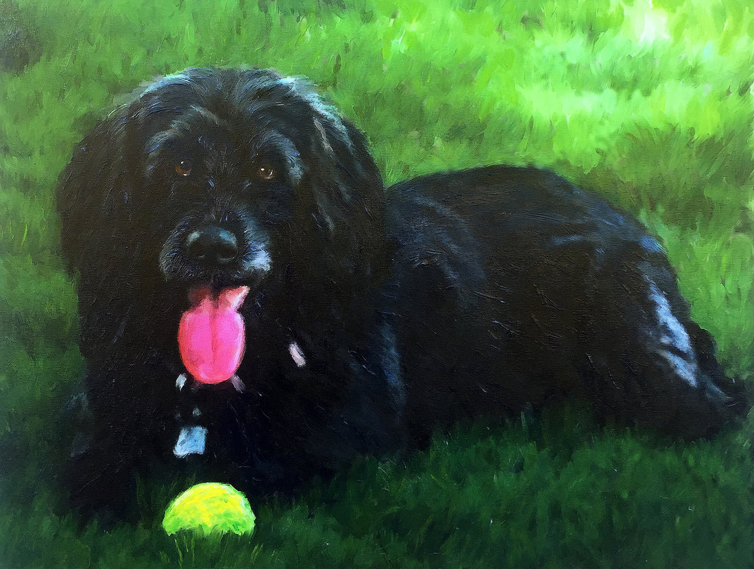 Labradoodle Dog Portrait from Photo – Portraits and Miniatures by NC