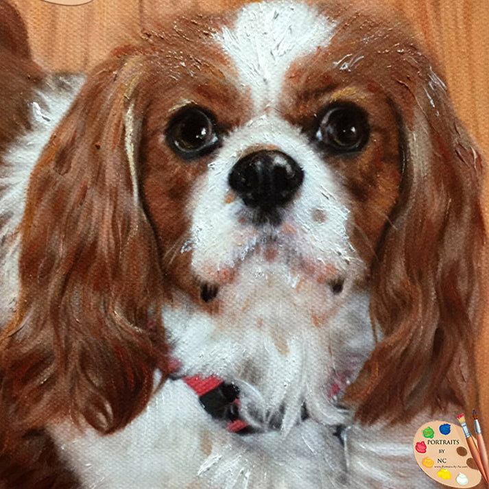 King Charles Spaniel Dog Portrait Oil – Portraits and Miniatures by NC