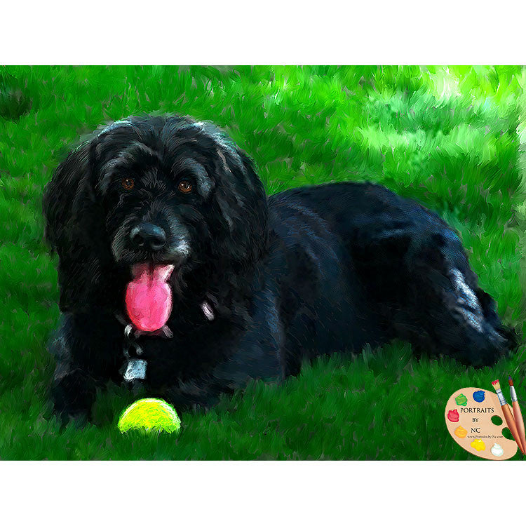 Labradoodle Dog Portrait from Photo – Portraits and Miniatures by NC