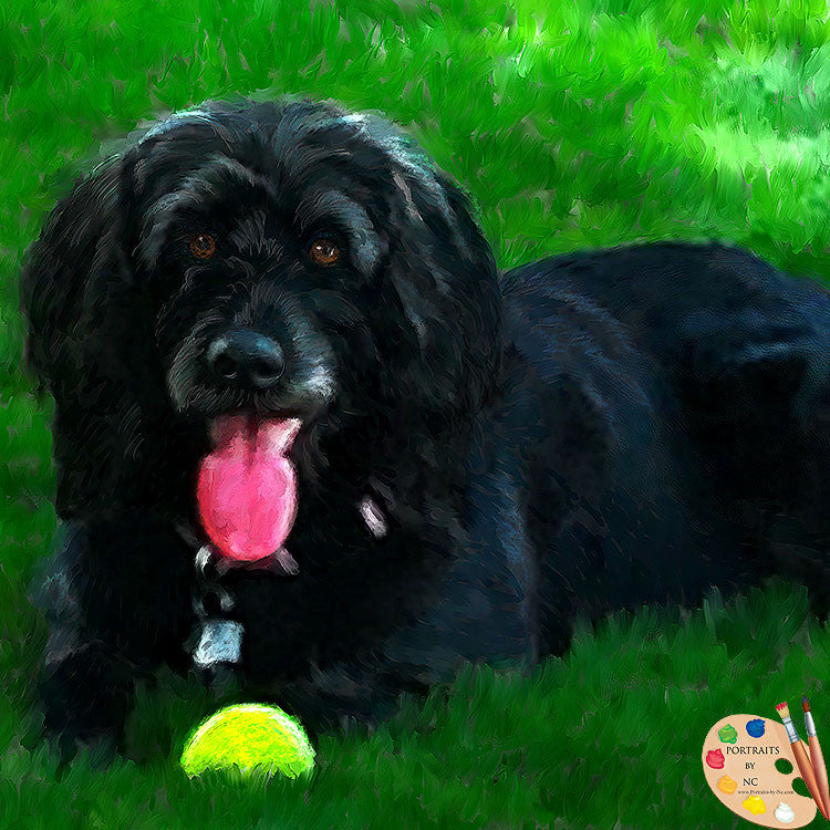 Labradoodle Dog Portrait from Photo – Portraits and Miniatures by NC